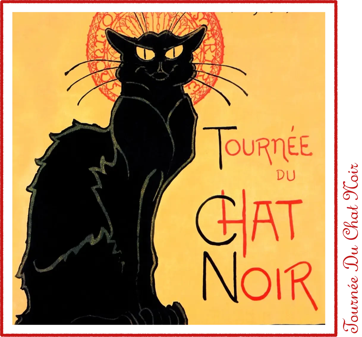 CHAT NOIR!